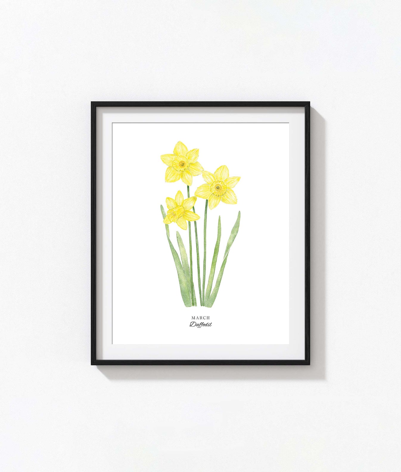 Daffodil Art Print, March Birth Flower – Tammy Speed Design