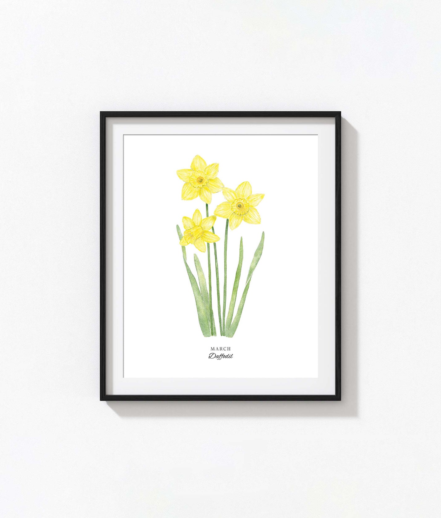 Daffodil Art Print, March Birth Flower – Tammy Speed Design