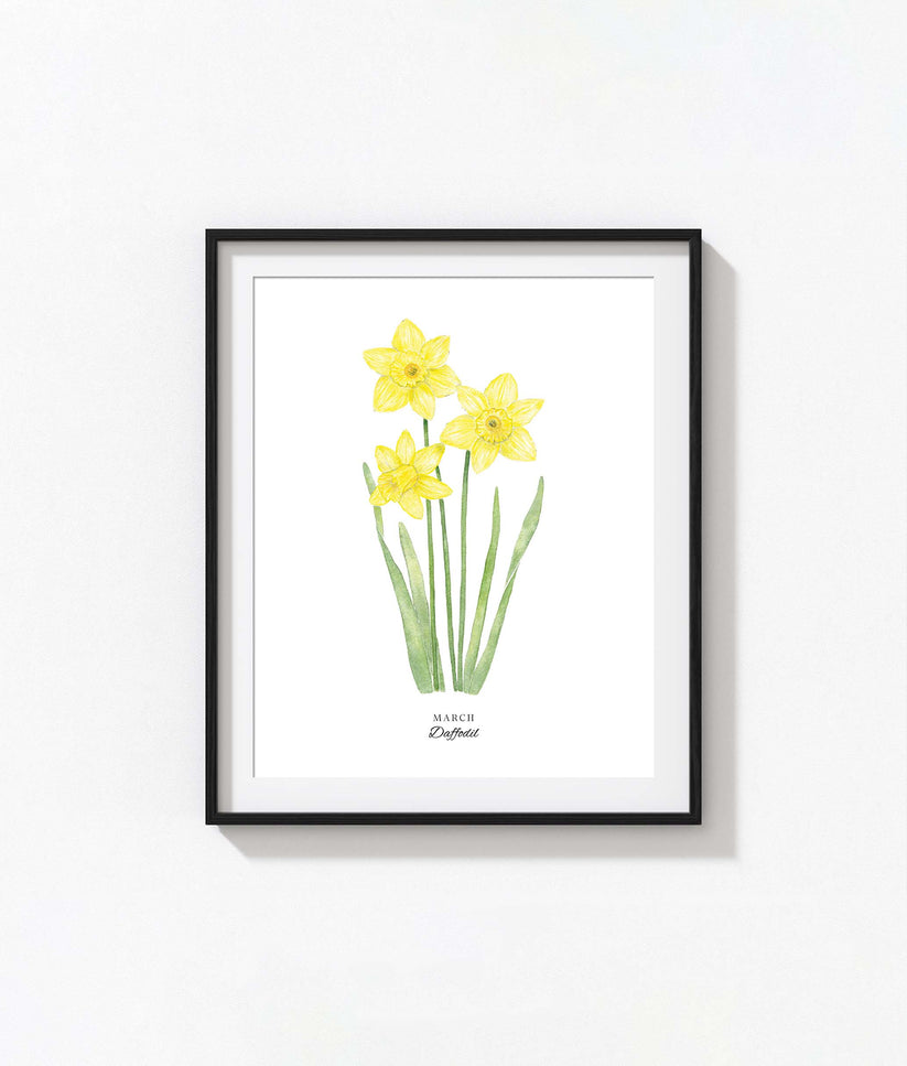 Daffodil Art Print, March Birth Flower – Tammy Speed Design