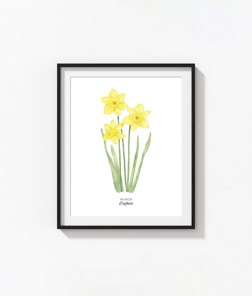 Daffodil Art Print, March Birth Flower – Tammy Speed Design