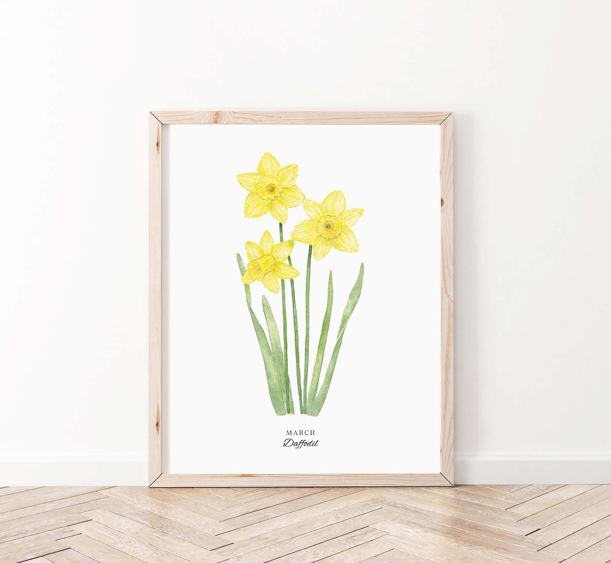 Daffodil Art Print, March Birth Flower – Tammy Speed Design